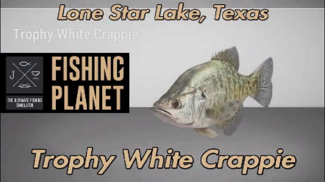 Trophy White Crappie Lone Star Lake Texas Fishing Planet Guide - YouTube