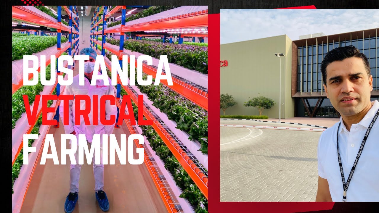 #dubai#emiratesflightcatering#bustanica#nepali family in uae - YouTube