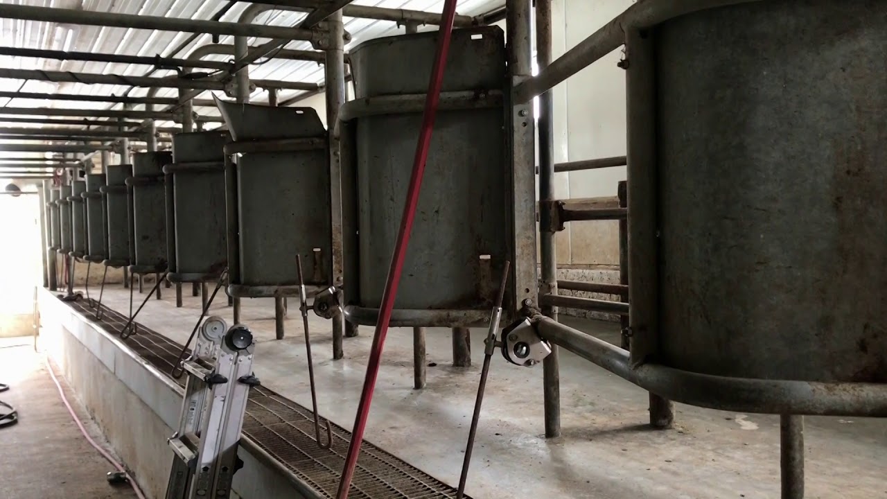 new milking equipment we just bought automatic take offs - YouTube