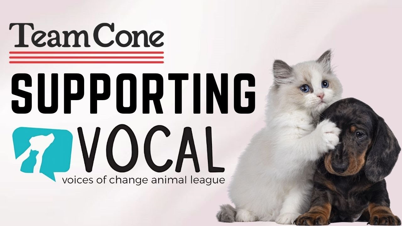 Supporting VOCAL: Team Cone's Mission to Make a Difference - YouTube