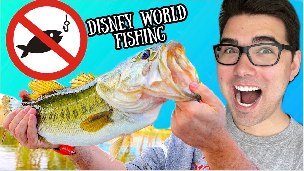 How To Go Fishing At Disney World Without Getting In Trouble - YouTube
