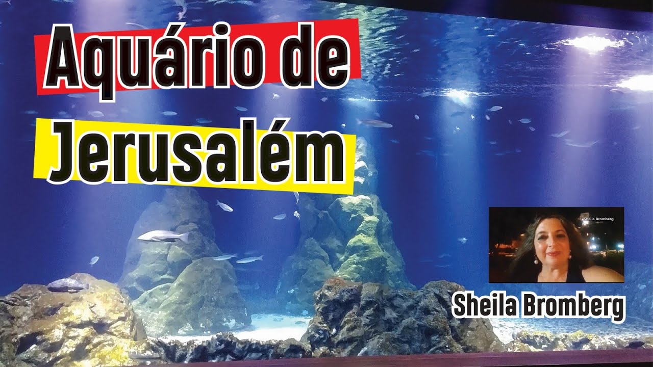 SHEILA BROMBERG - AQUÁRIO DE JERUSALÉM - YouTube