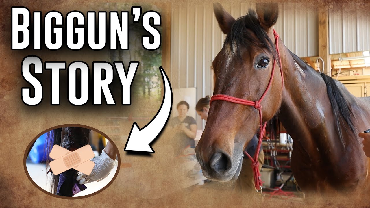 The Reality of Rescue | Biggun's Story - YouTube