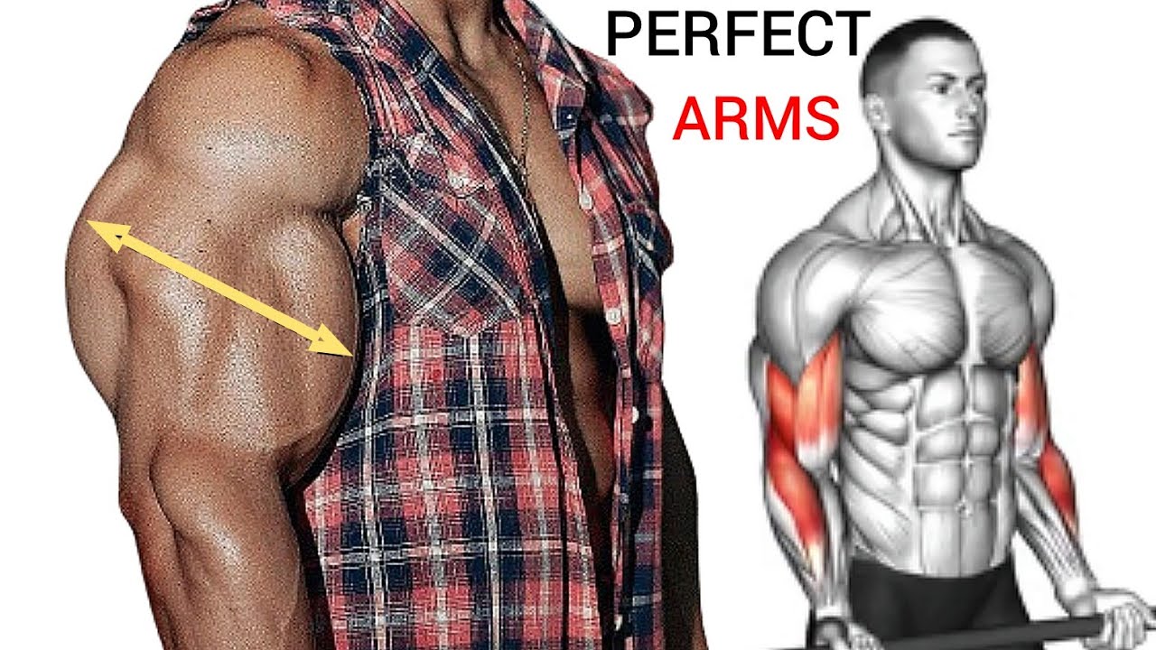 How to Get Perfect Big Arms 8 Best Move - Arm - YouTube