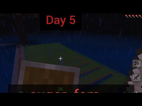 How create sugar fam in Minecraft - YouTube