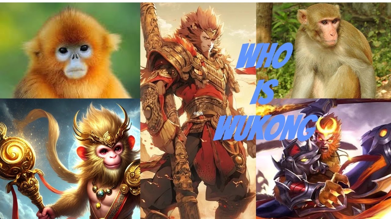 who is wukong?Macaque or golden monkey? #wukong #macaque #goldenmonkey ...