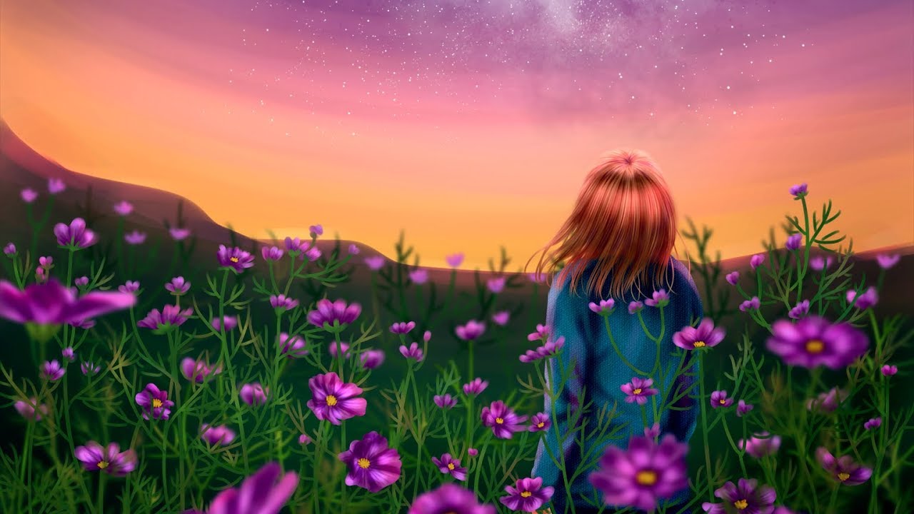 Animated Cosmos Flower Field - YouTube