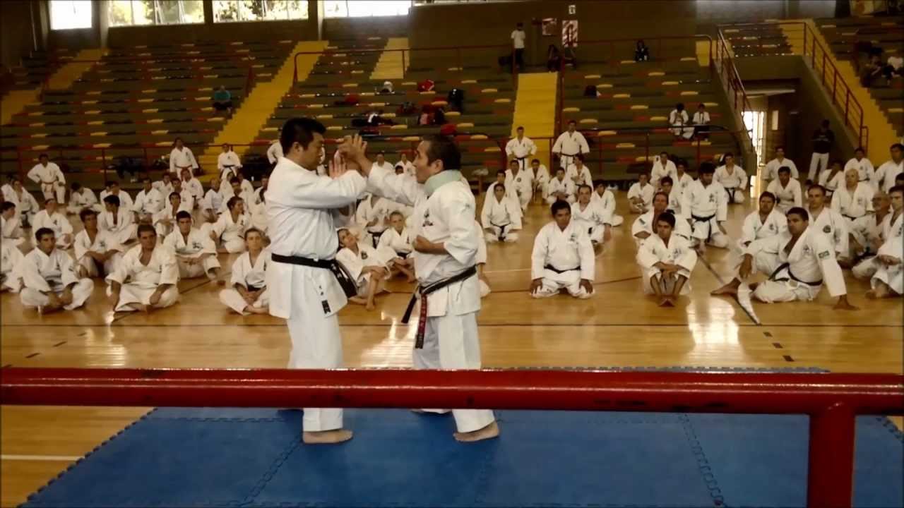 Goju-Kai - Seminario IKGA - Oct 2012 - MawashiUke - YouTube