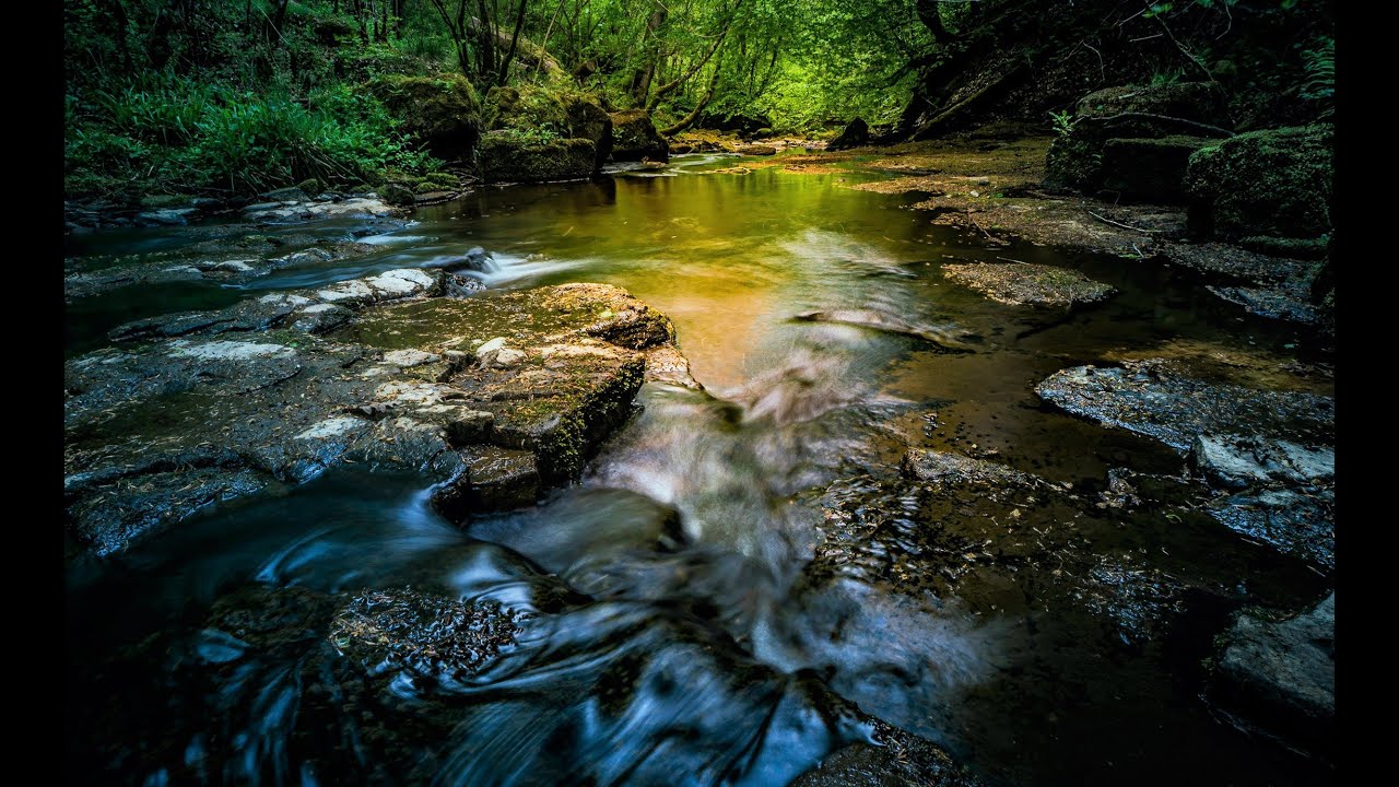 Relaxation Stream Ambient Sound - YouTube