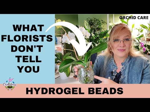 Can I Grow Orchids In Glass Marbles