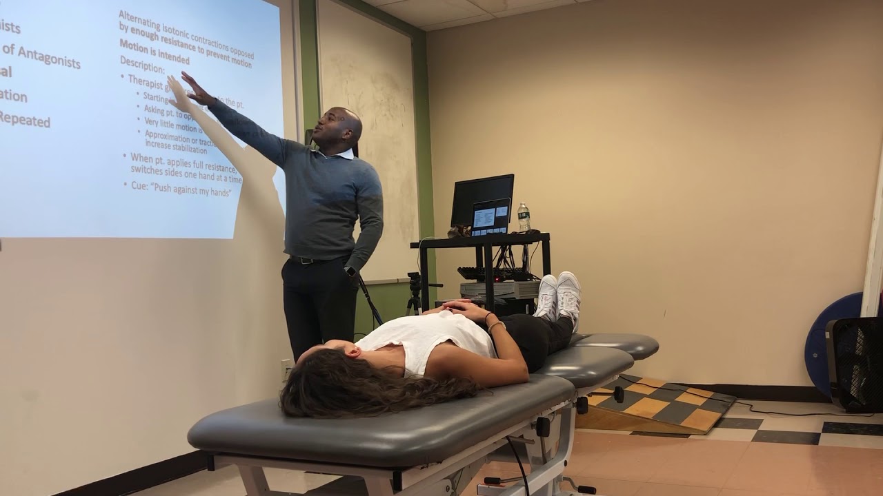 PNF Stabilizing Reversals - YouTube