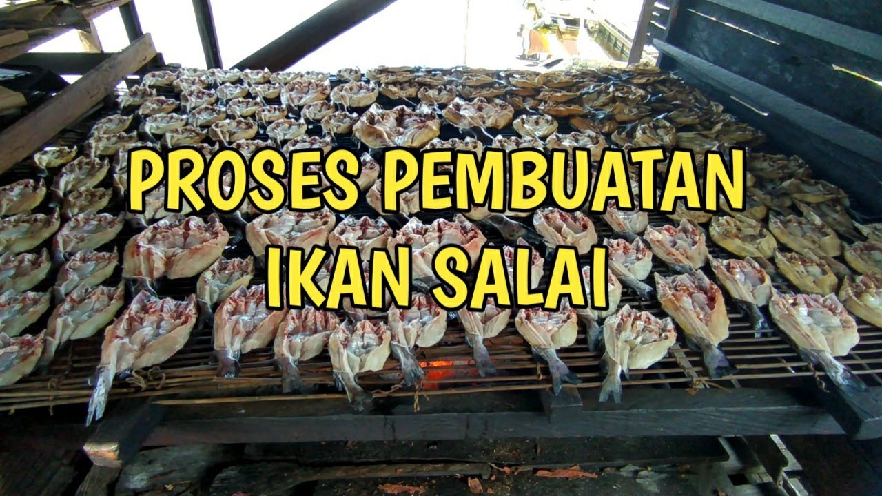 Melihat Proses Pembuatan Salai Ikan Baung - YouTube