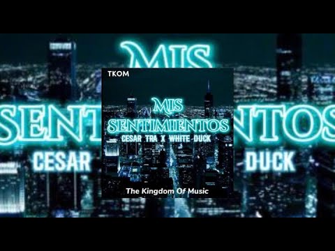 Cesar Tra, White Duck - Mis Sentimientos(Video Lyrics) - YouTube