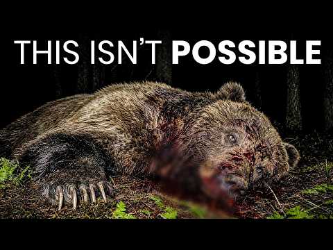 Biologists Finally Know What's Hunting the Grizzlies in Yellowstone — And No One Can Explain Why