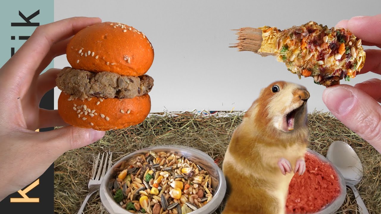 Yes Or No? People Eating pet food! PICA - YouTube