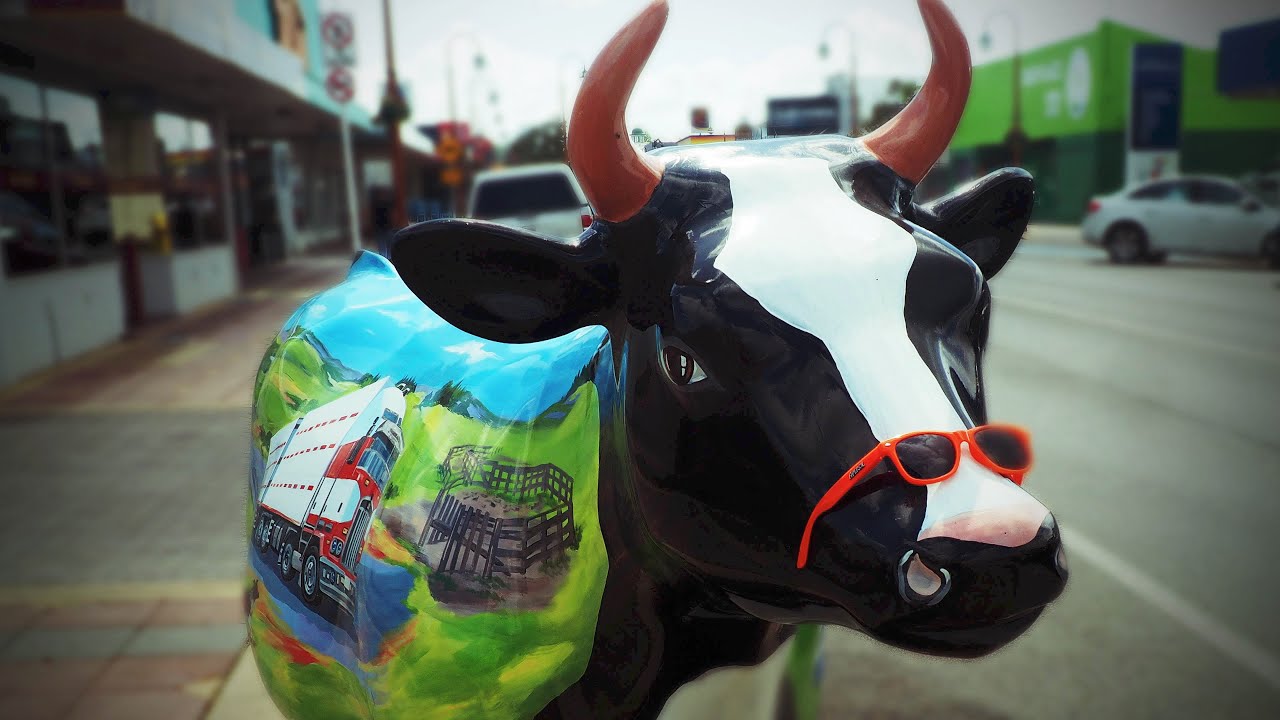 Morrinsville Cows | Life sized Cow Sculptures, Waikato New Zealand ...