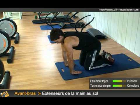 Etirement pour les avant-bras : extenseurs - YouTube