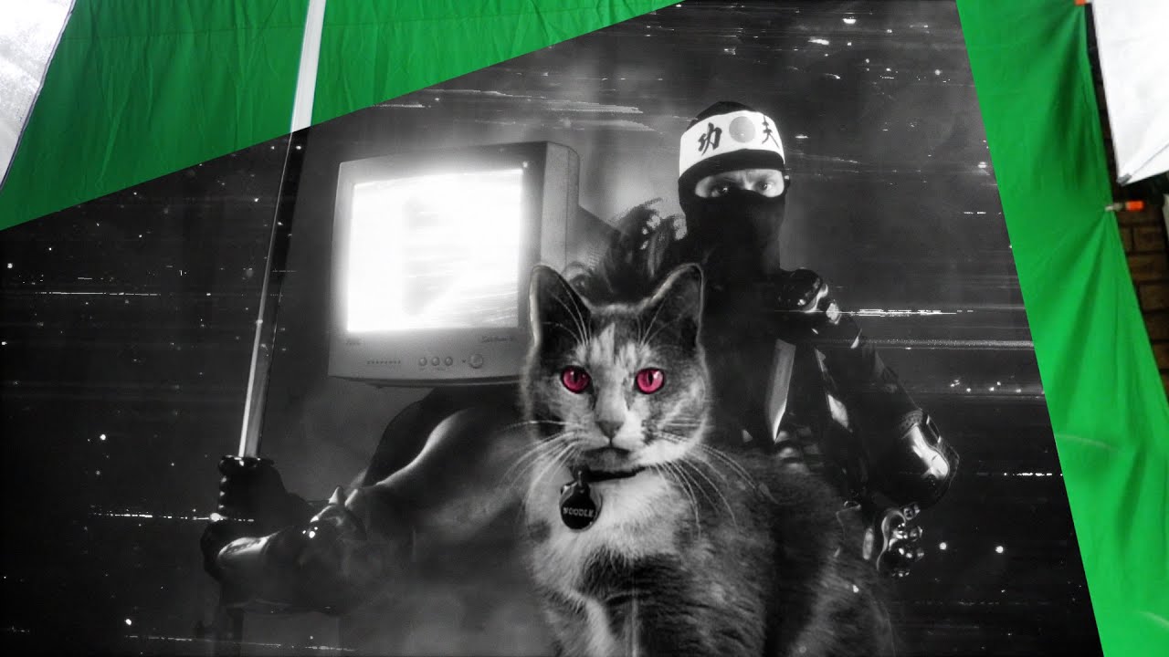 Samurai, VFX, Cats AND a Freestyle?! - YouTube