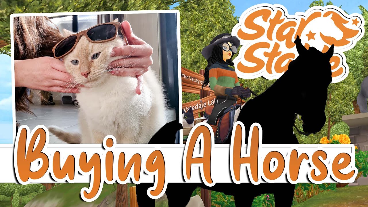 Star Stable CAT Chooses the FINAL Paint Horse I Buy 😨 - YouTube