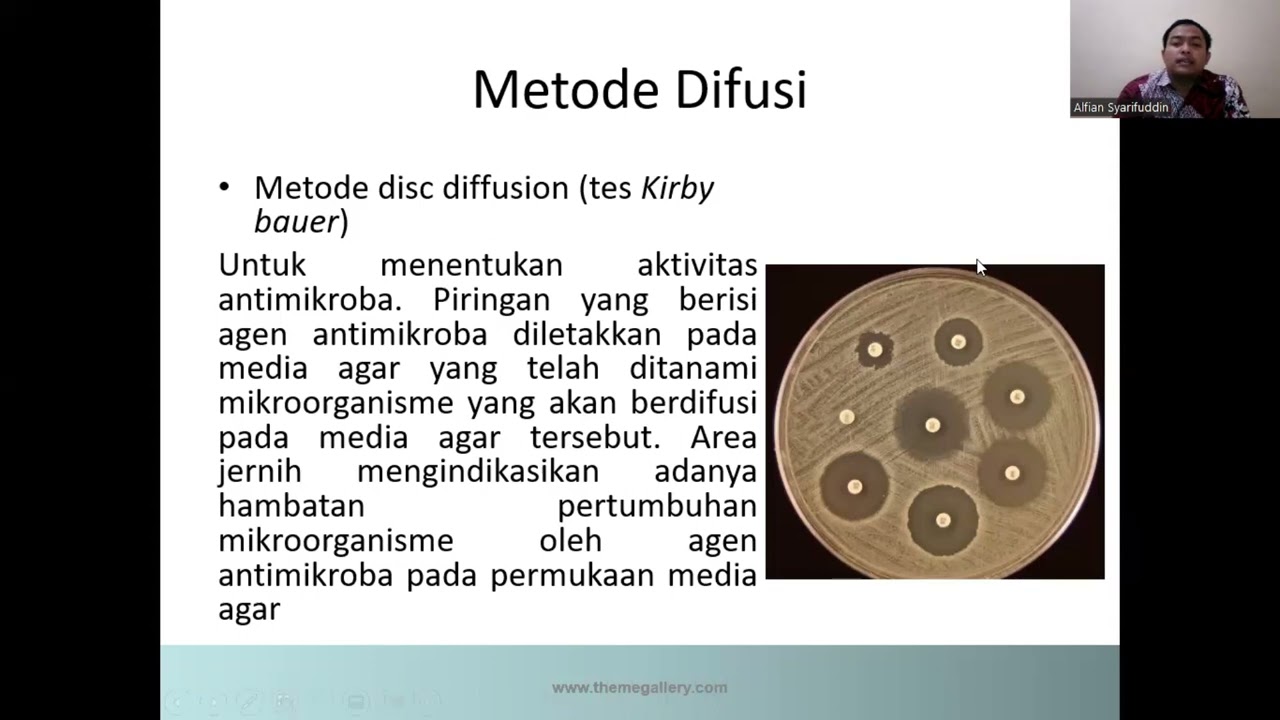 Mikrobiologi dan Virologi: Uji aktivitas antibiotik - YouTube