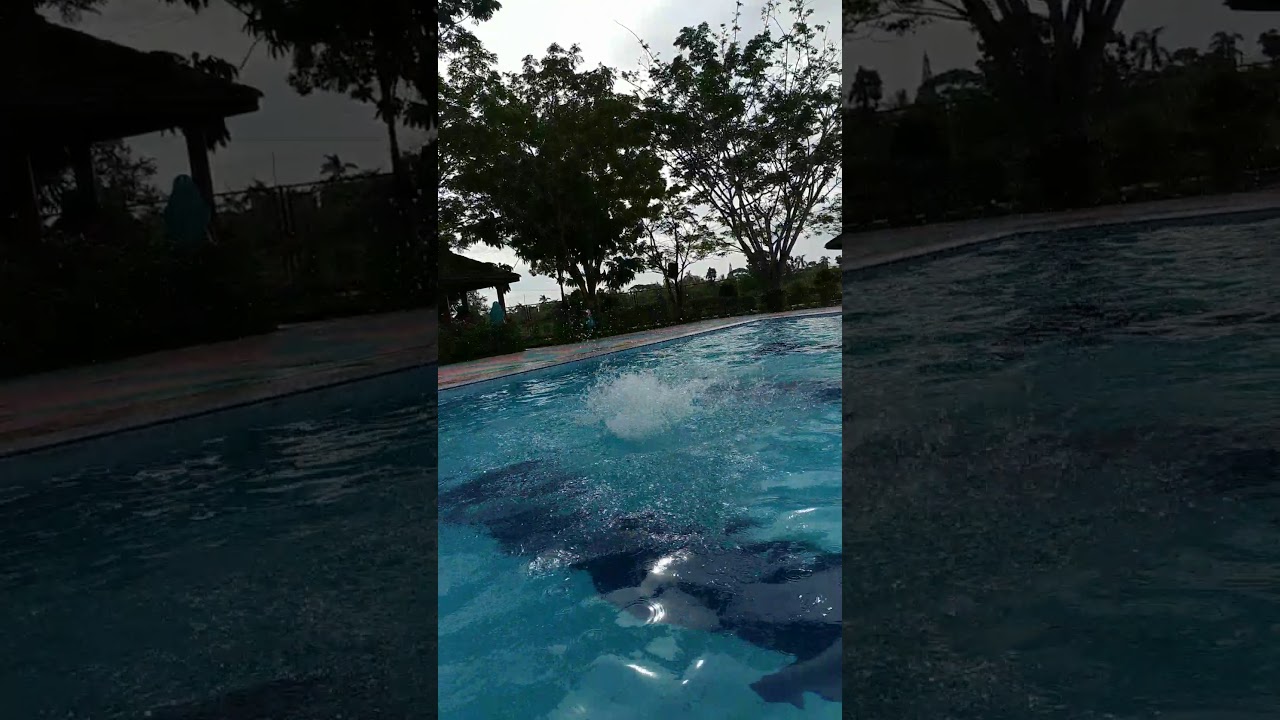 Lompat indah - YouTube