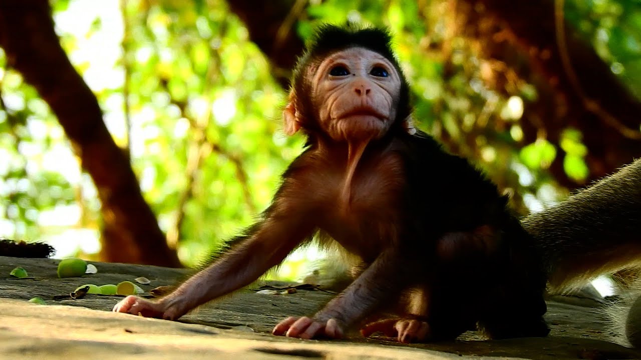 Adorable baby Tia wonder to see daddy - YouTube