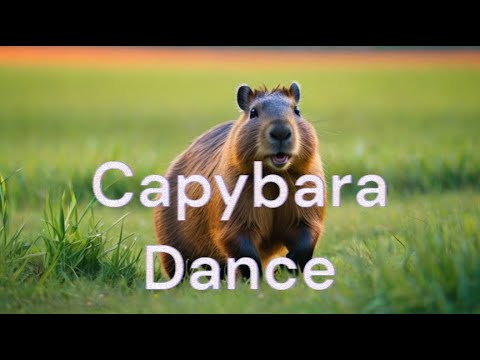 AIR Music 12 - Capybara Dance (Official Music Video) - YouTube