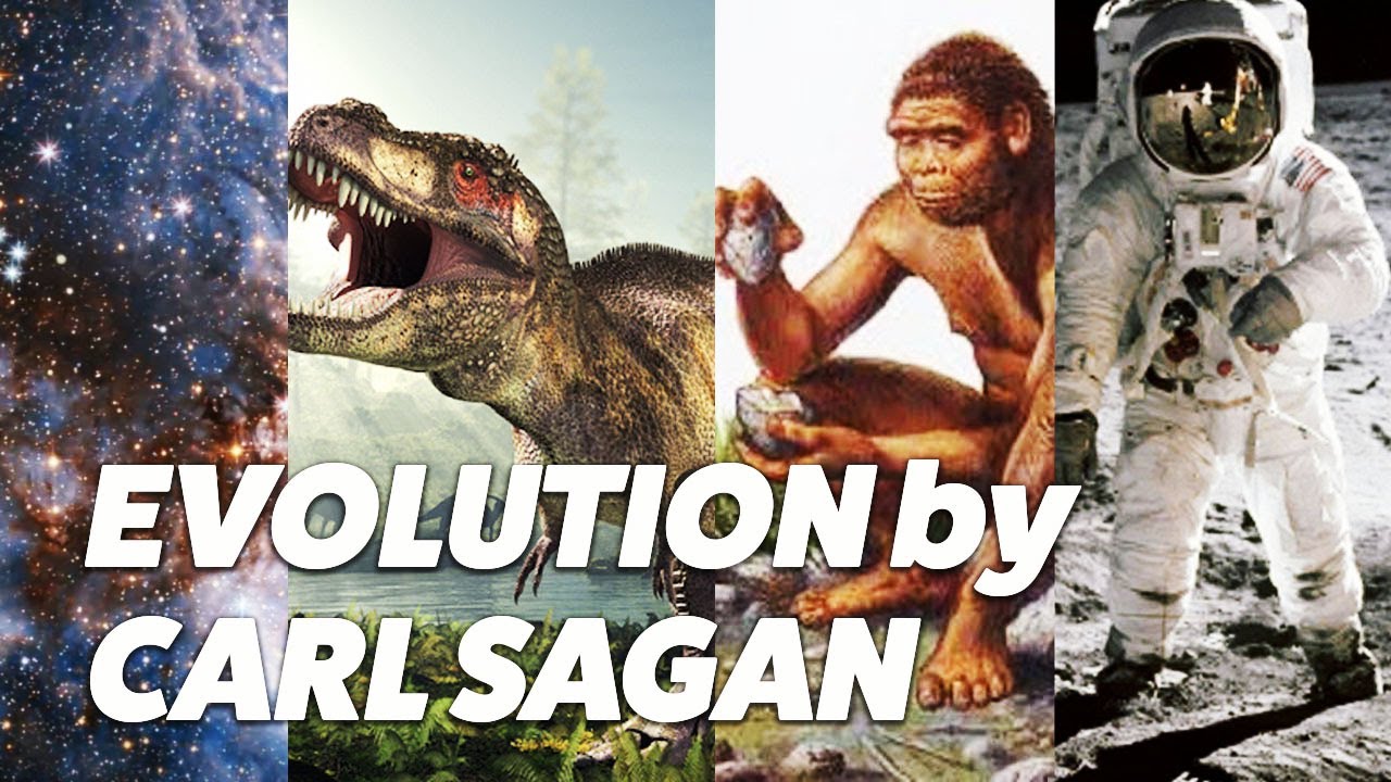 Evolution Explained: Carl Sagan's 6-Minute Journey from Life's Origins ...