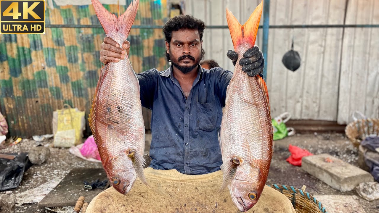 | KASIMEDU BIG KANDAL FISH CUTTING VIDEO | IN KASIMEDU | FRESH FISH ...