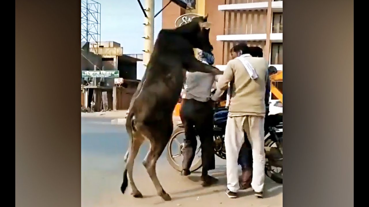 Best funny of fails compilations part #1 - Crazy ever - YouTube