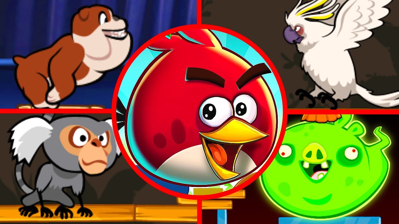 Angry Birds Maker Rio 5 - All Bosses (Boss Fight) - YouTube