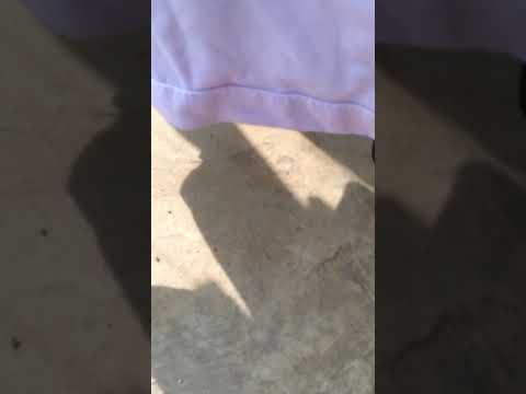 Ngintip yg lagi mandi