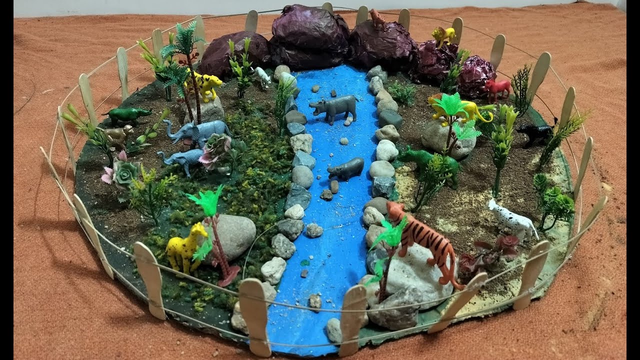 Forest model school project | A wildlife sanctuary or a protected area ...
