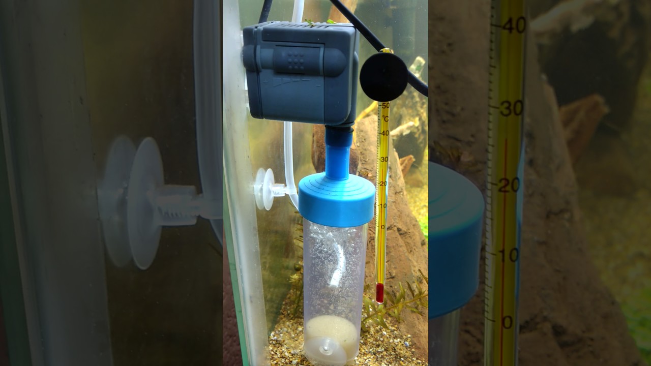 DIY Reactor de CO2 Casero. Económico y Efectivo , ACUARIOS CDMX - YouTube
