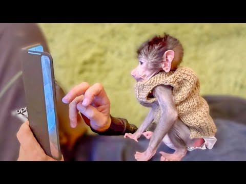 Степашка очень любит СМОТРЕТЬ ИНТЕРНЕТ! Степа с Владом могут целыми ...