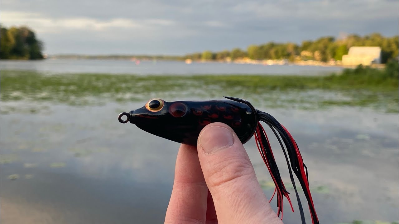 How to fish a frog - YouTube