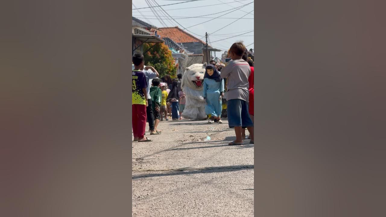 Bocil FF Ketakutan ada Can Macanan - YouTube