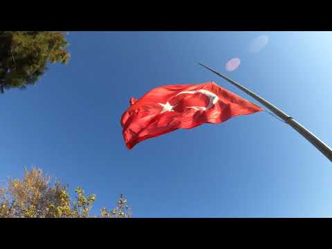 Turkey Flag, | Royalty Free Videos | #Shorts