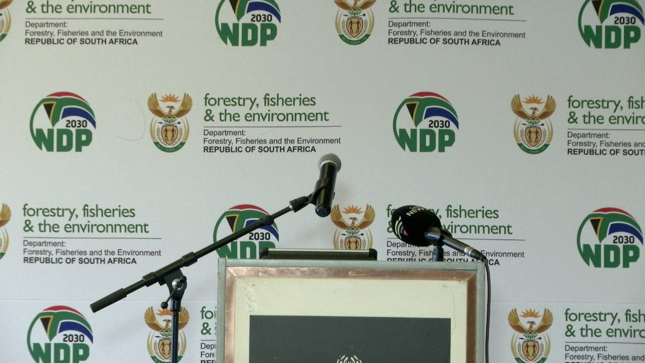 The release the High Level Panel (HLP) report - YouTube