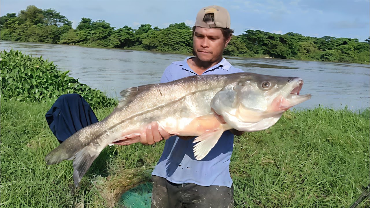 CAPTURAMOS EL MEJOR MOUSTRO DE RIO QUE HAY EN TABASCO - YouTube