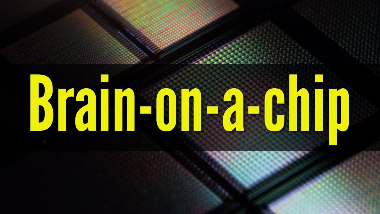 Brain-on-a-chip | Engineers put tens of thousands of artificial brain ...