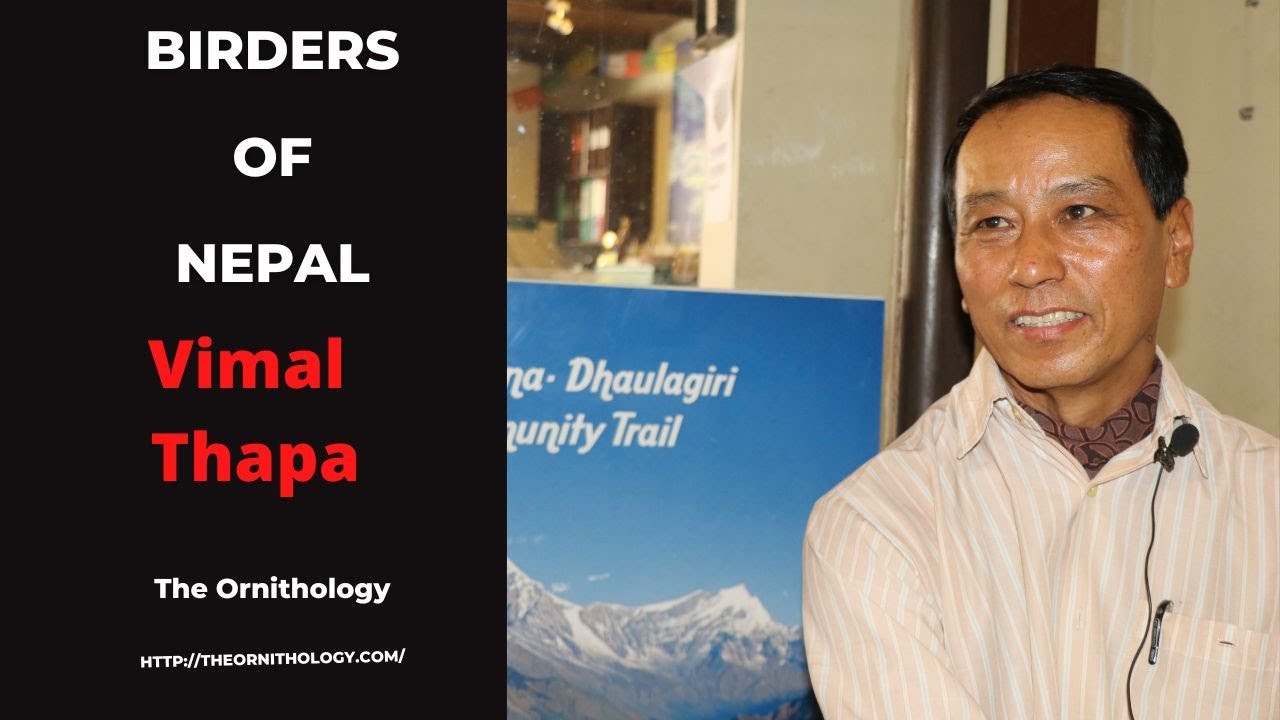 Vimal Thapa | Birders of Nepal | Episode 2 - YouTube