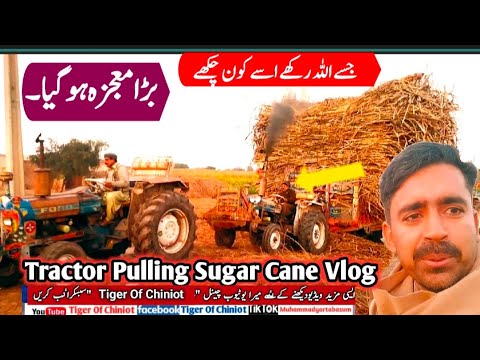 Ford 3610 Tractor Pulling Sugar Cane Trolly|Tiger Of Chiniot - YouTube