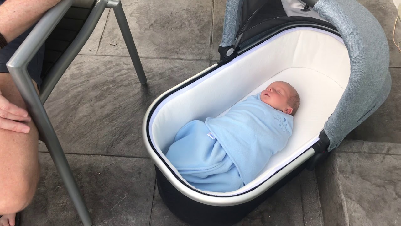 Hank and Johnny and Joyce and Tobin part 2. 👨‍👨‍👧‍👦 - YouTube