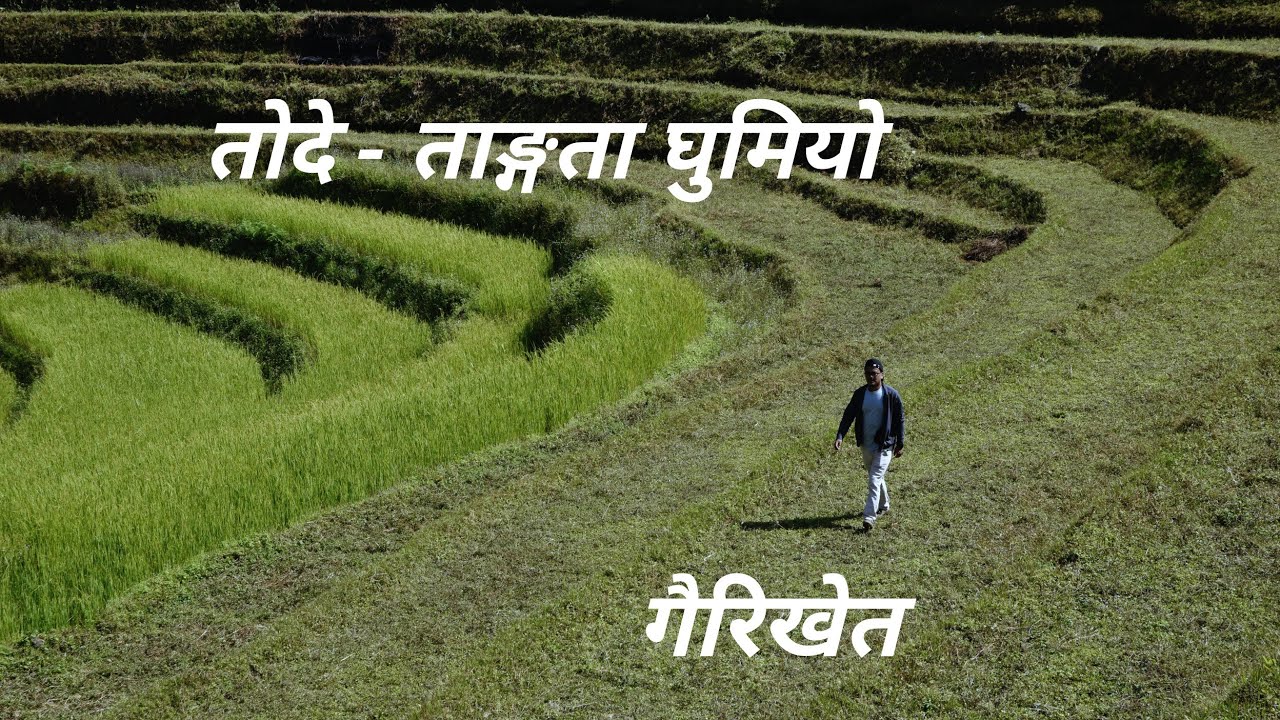 exploring todey and tangta || chummang river camp || darjeelingey ...