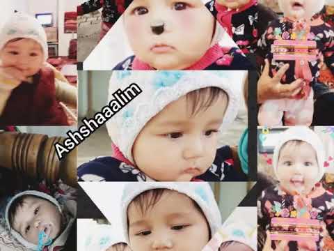 Otam davlatim ONAM janatim