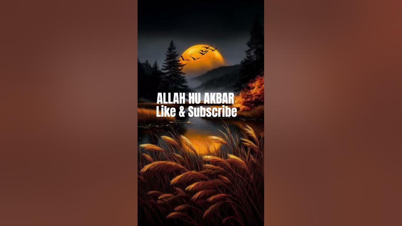 Quran like subscribe @Dine_islam_313 #_subscribe_karlo_like_cammant_karo_please_ - YouTube