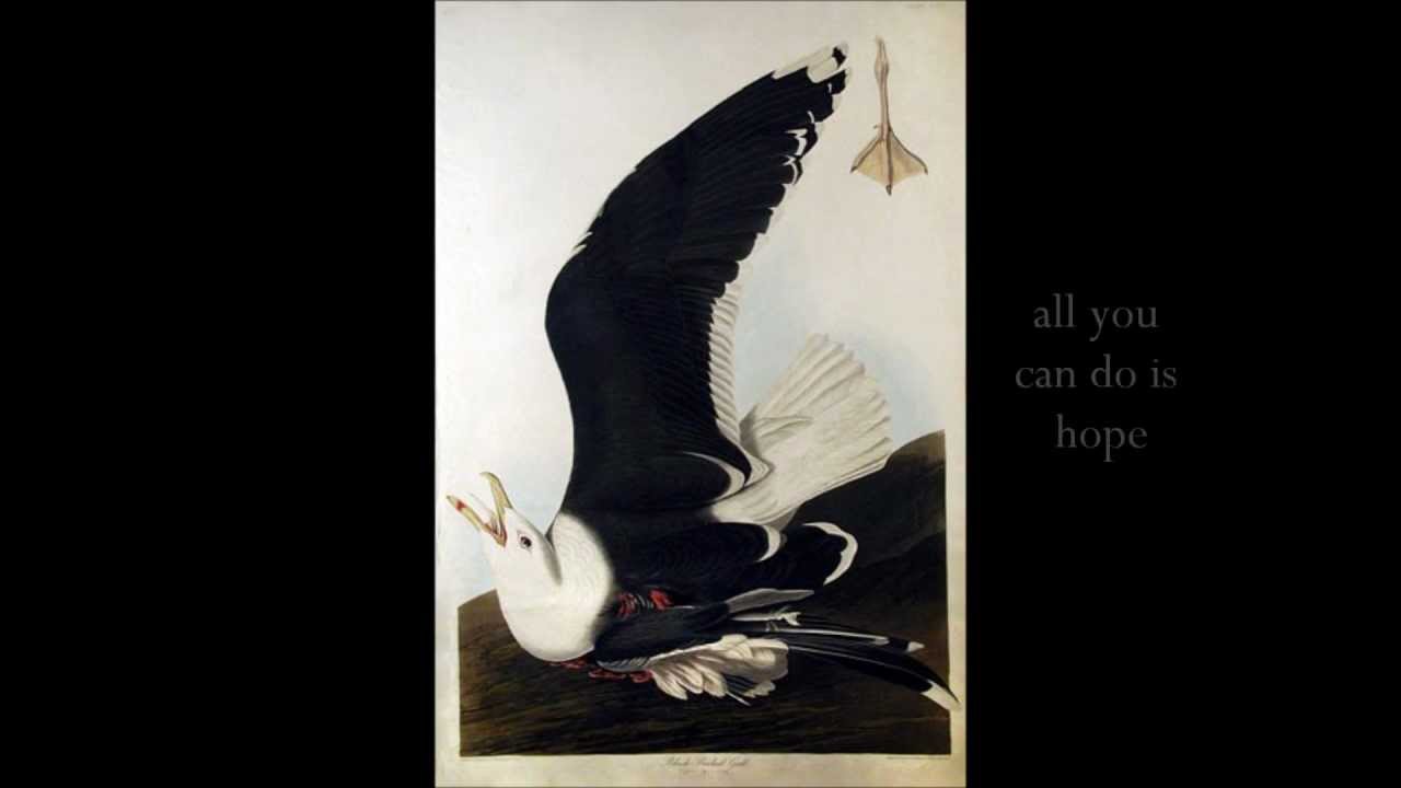 Okay For Now Book Ad - YouTube