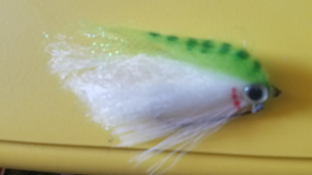 WEEDLESS Minnow Fly - YouTube