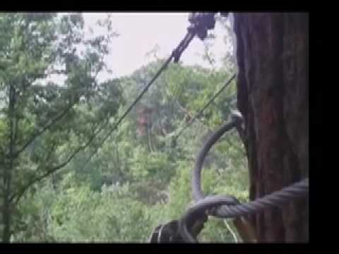 Ozone Zipline - YouTube